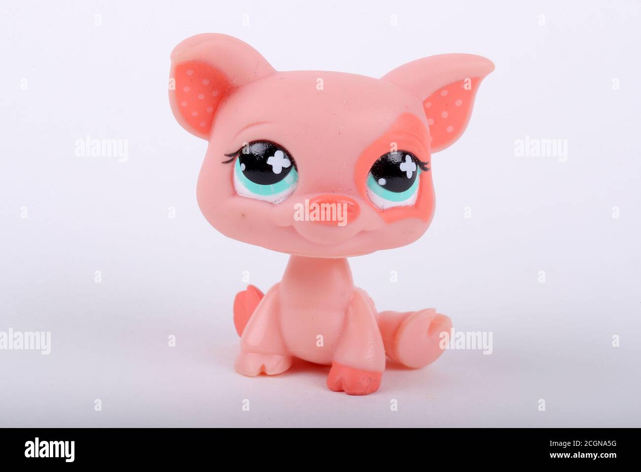 Littlest Pet Shops macro of a pig on White - Photo credit Luke Durda ...