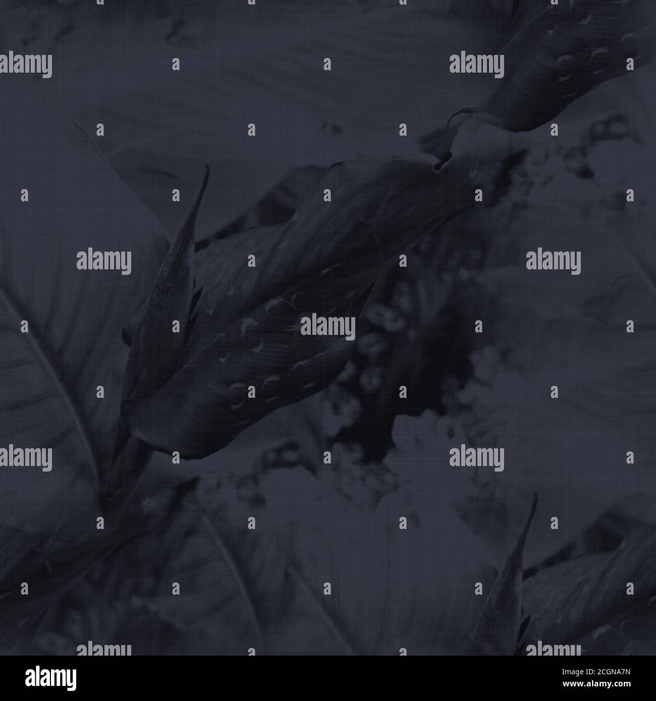 Dark moody almost black leaf seamless pattern Stock Photo - Alamy
