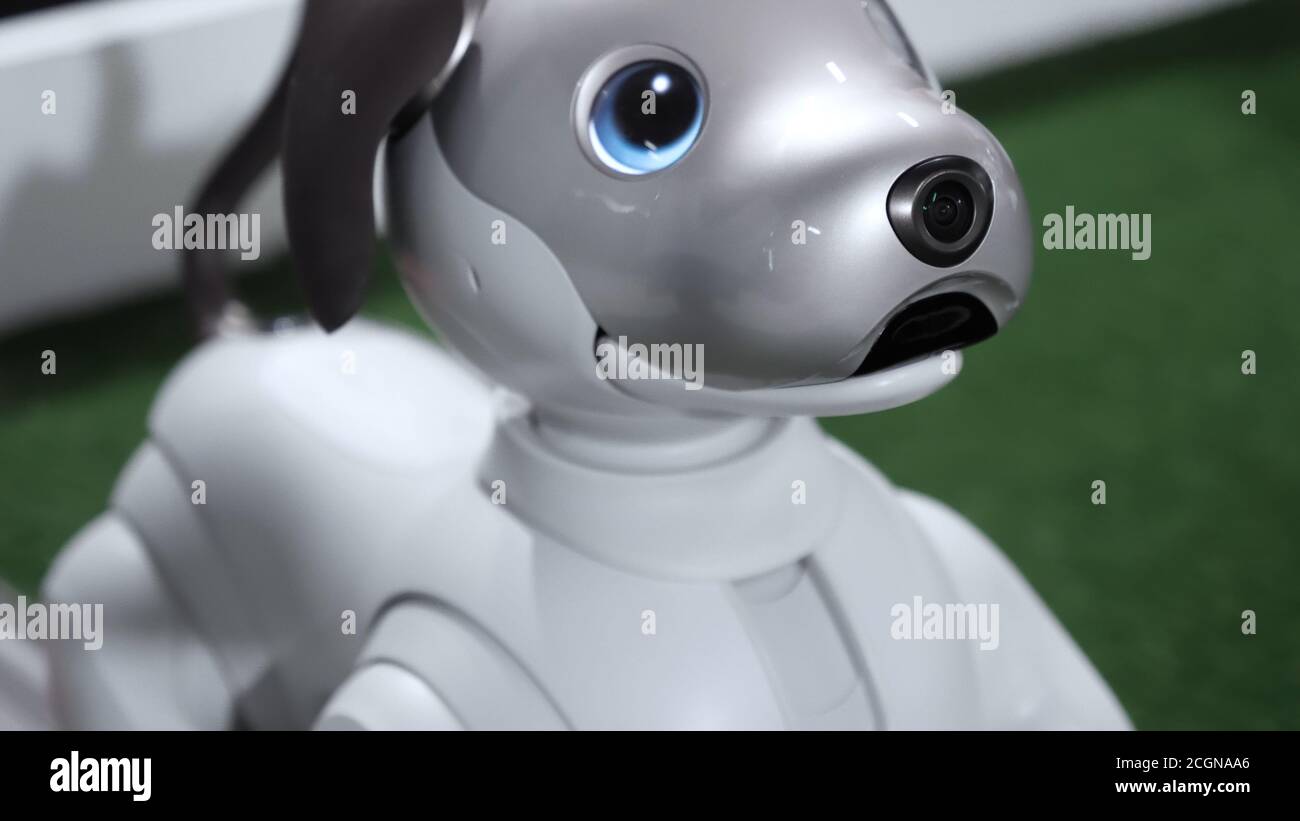 Sony aibo robot dog hi-res stock photography and images - Alamy