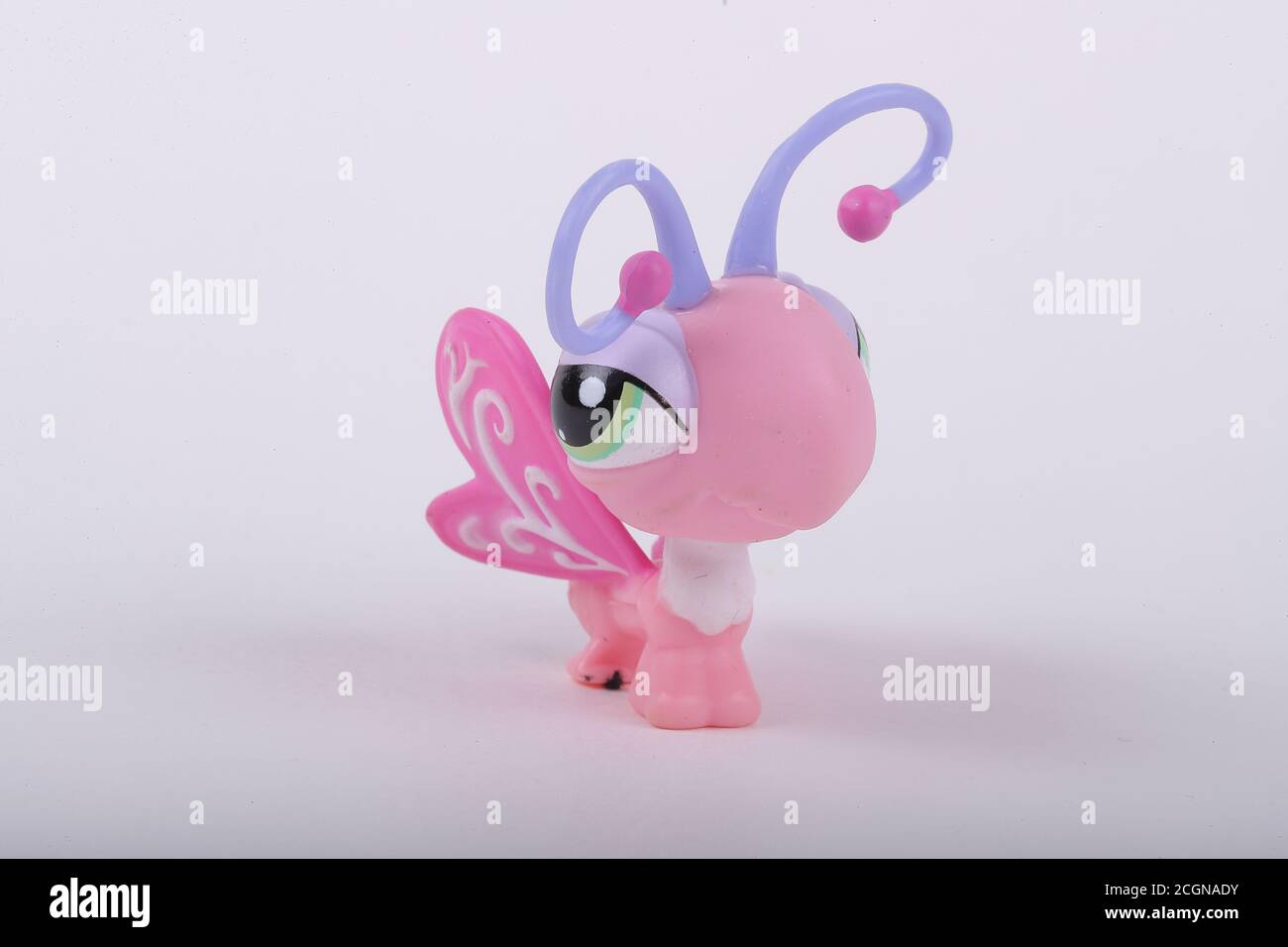 Littlest Pet Shops macro of a pink firefly on White - Photo credit Luke ...