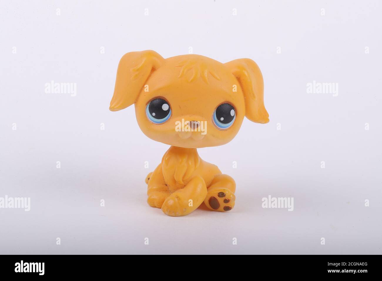 Littlest Pet Shops macro of brown, yellow Dog on White - Photo credit ...