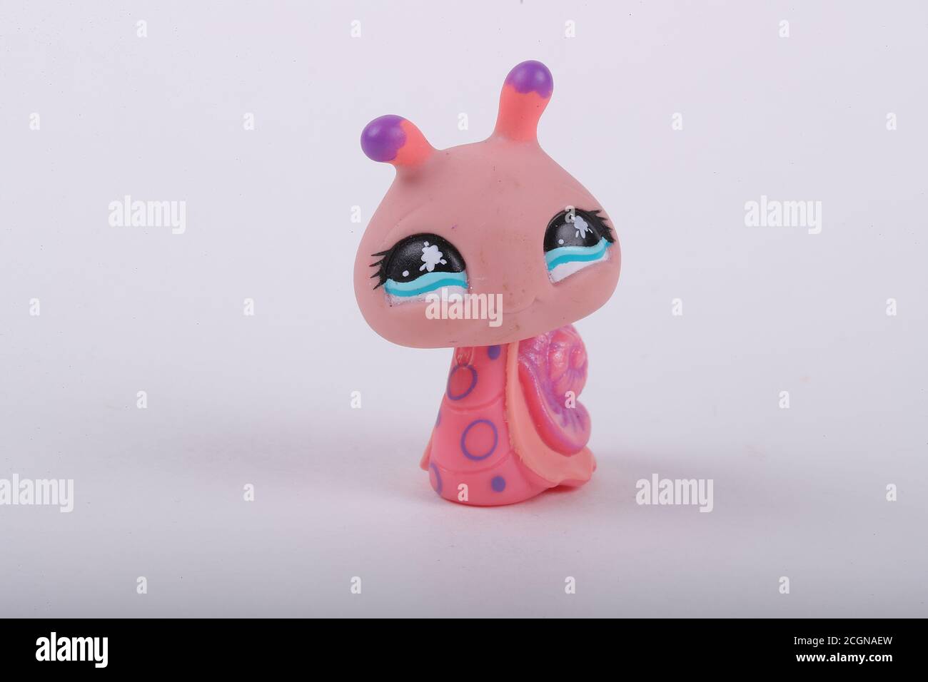 Littlest Pet Shops macro of pink snail on White - Photo credit Luke ...