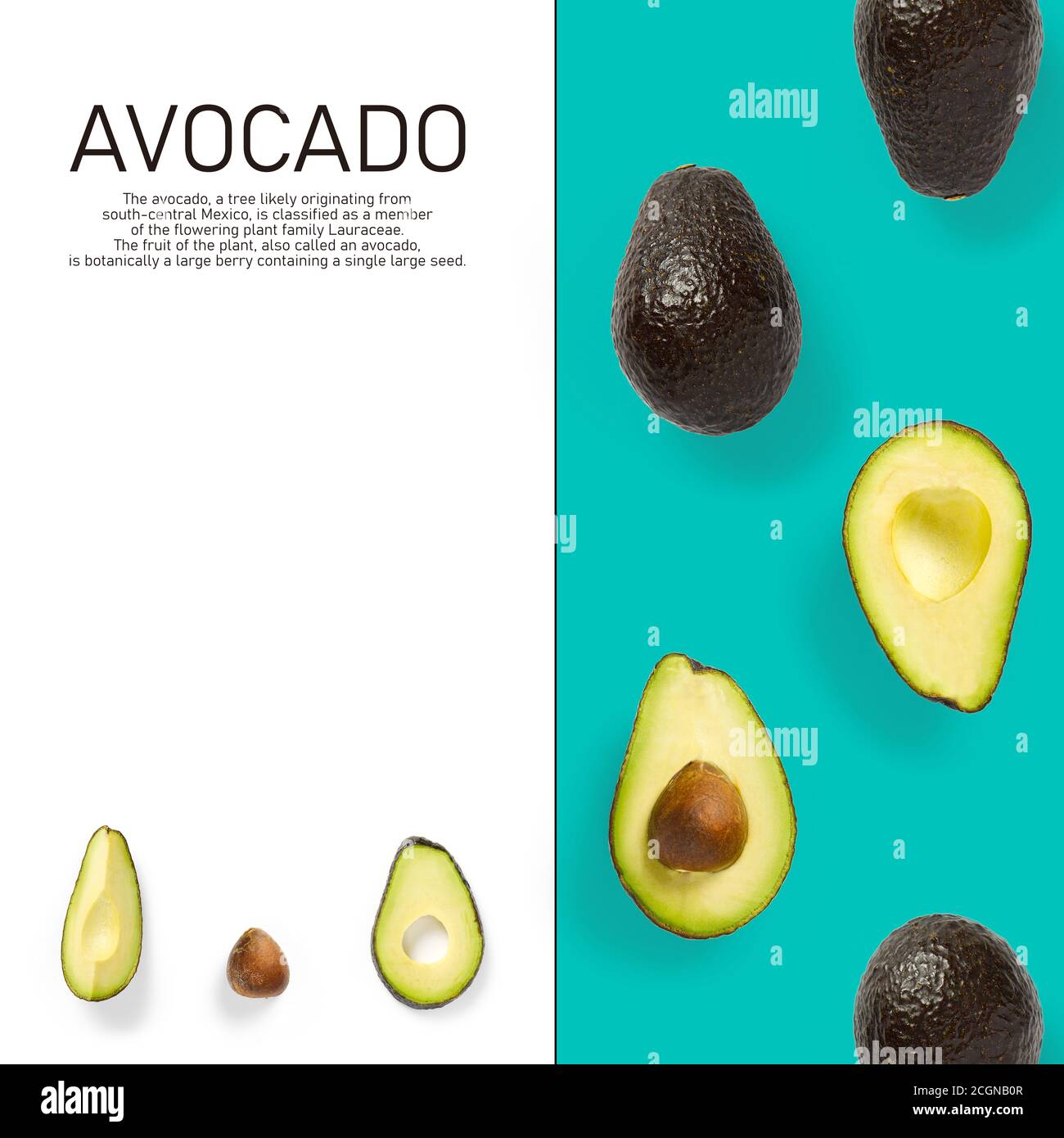 Modern creative avocado collage with simple text on solid color ...