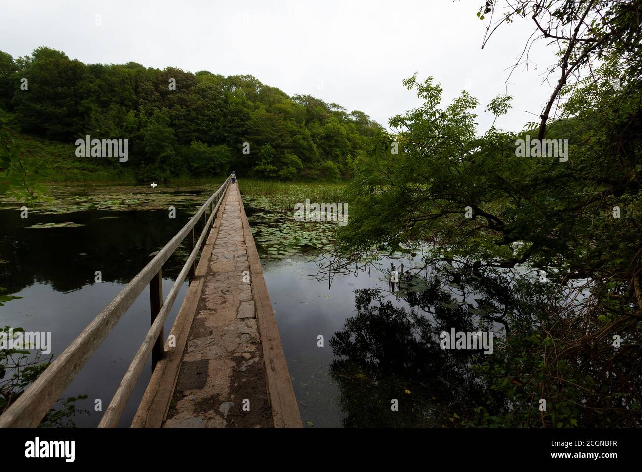 Bridge over a pond of water lilies hi-res stock photography and images ...