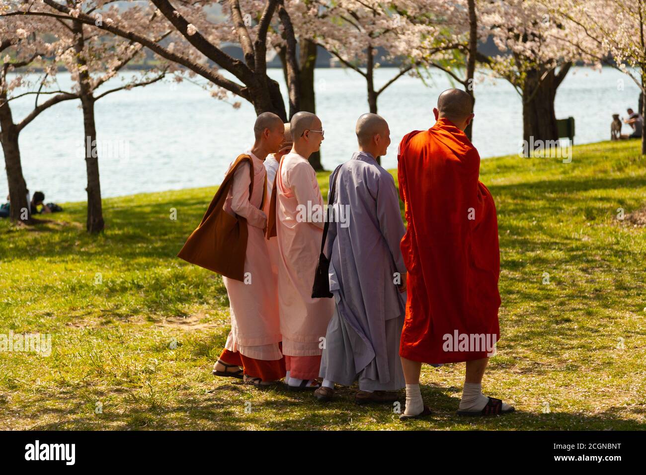 Washington, DC, USA 04/10/2013: A group of buddhist monks wearing ...