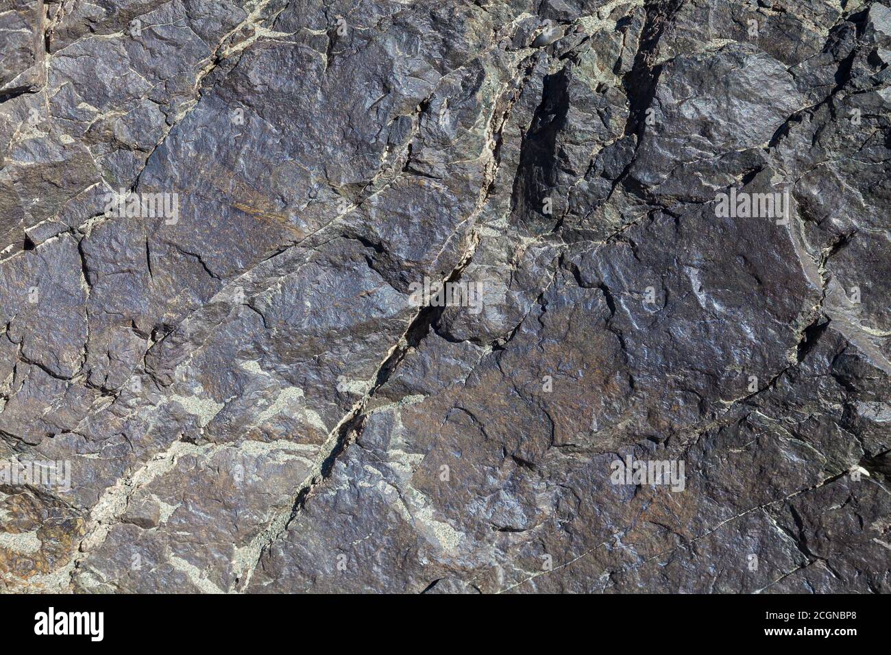 A large layer of rock close-up of a smooth gray stone with cracks ...