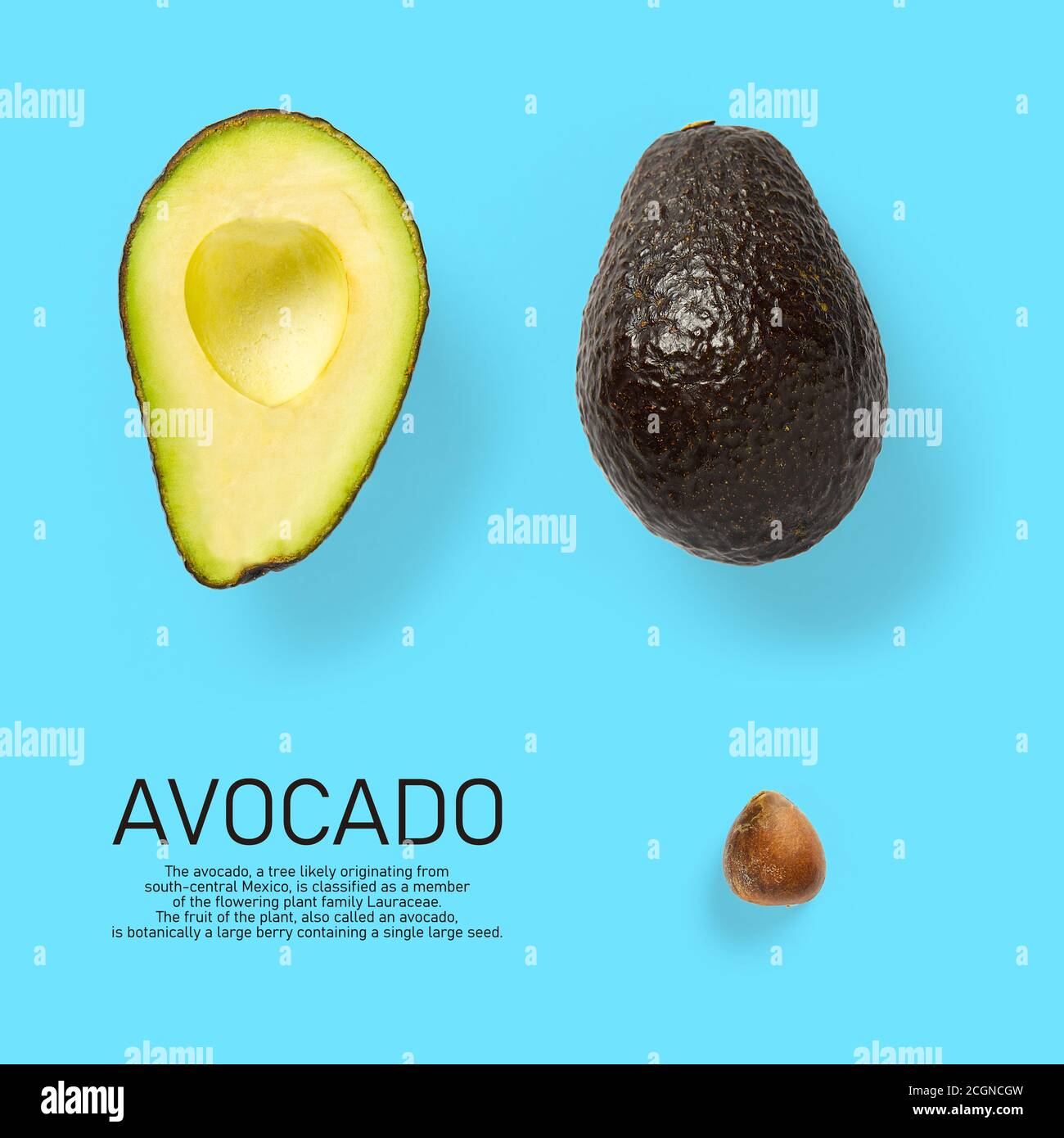 Modern creative avocado collage with simple text on solid color ...