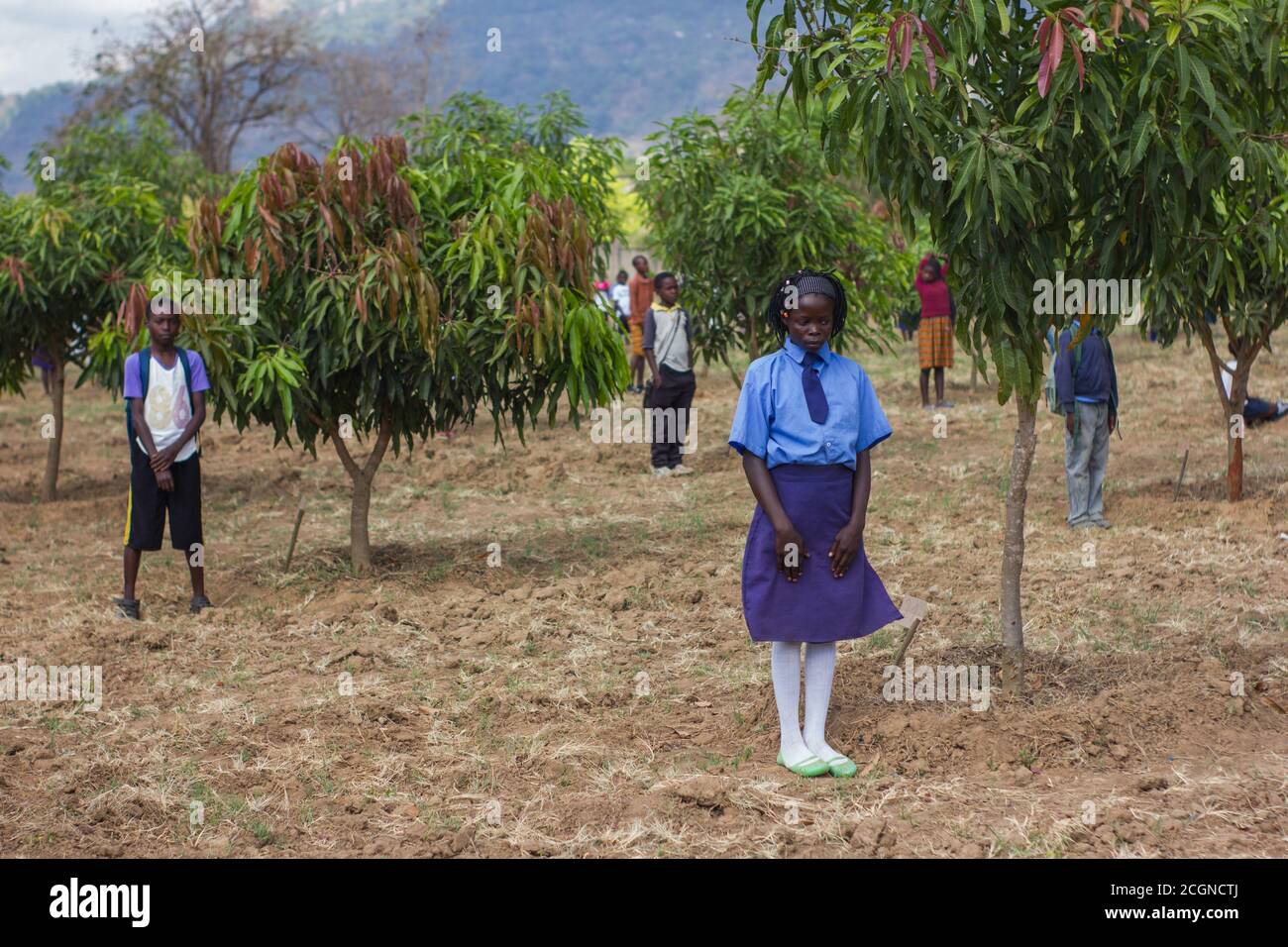 Schoolchildren standing near their trees in their school yard during a ...