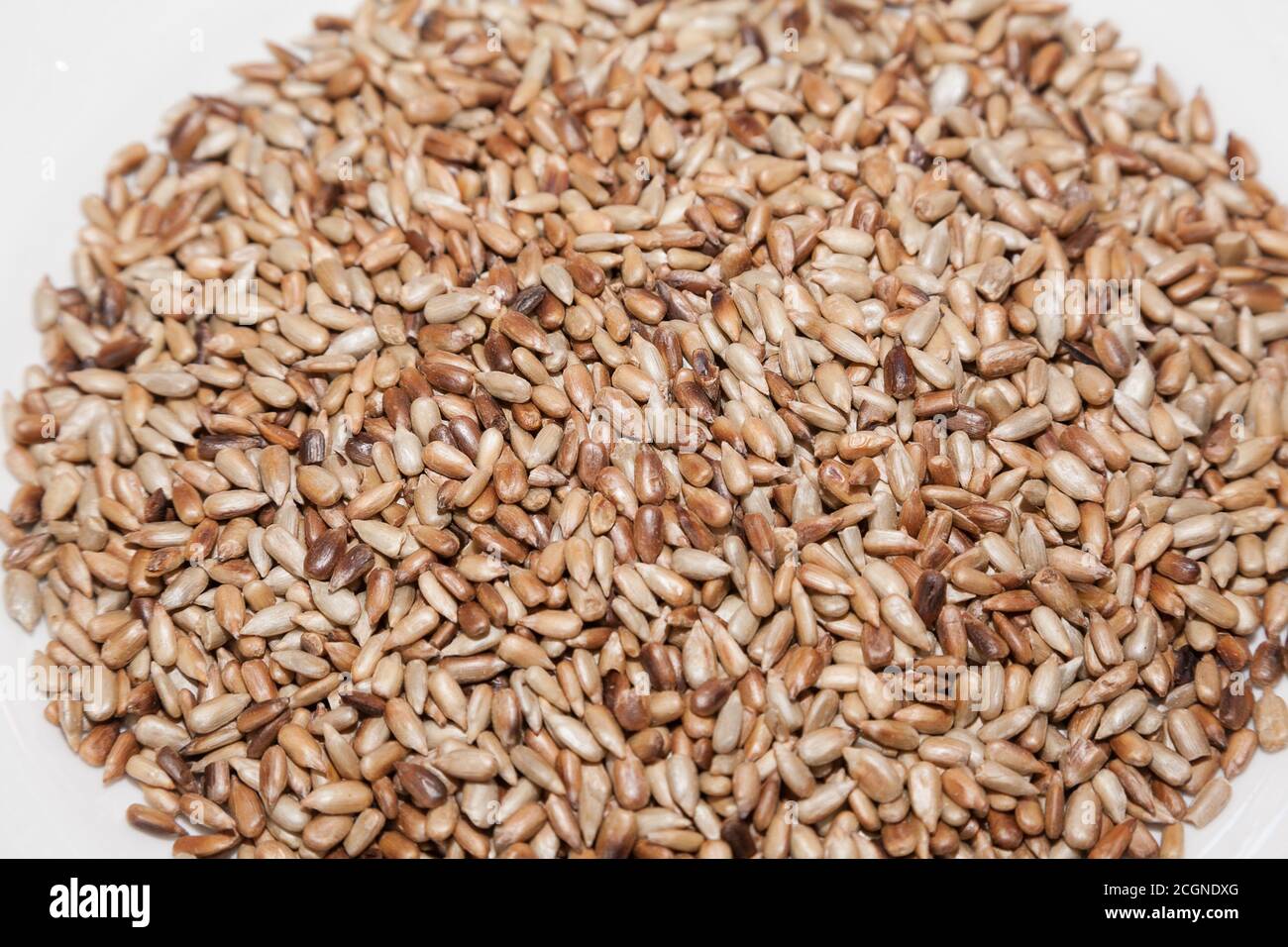 Closeup of fried sunflower seed kernels Stock Photo - Alamy