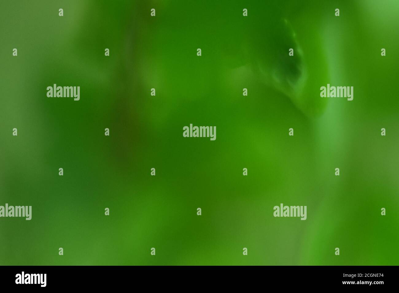 Bokeh green nature, Subtle background in abstract style for graphic ...