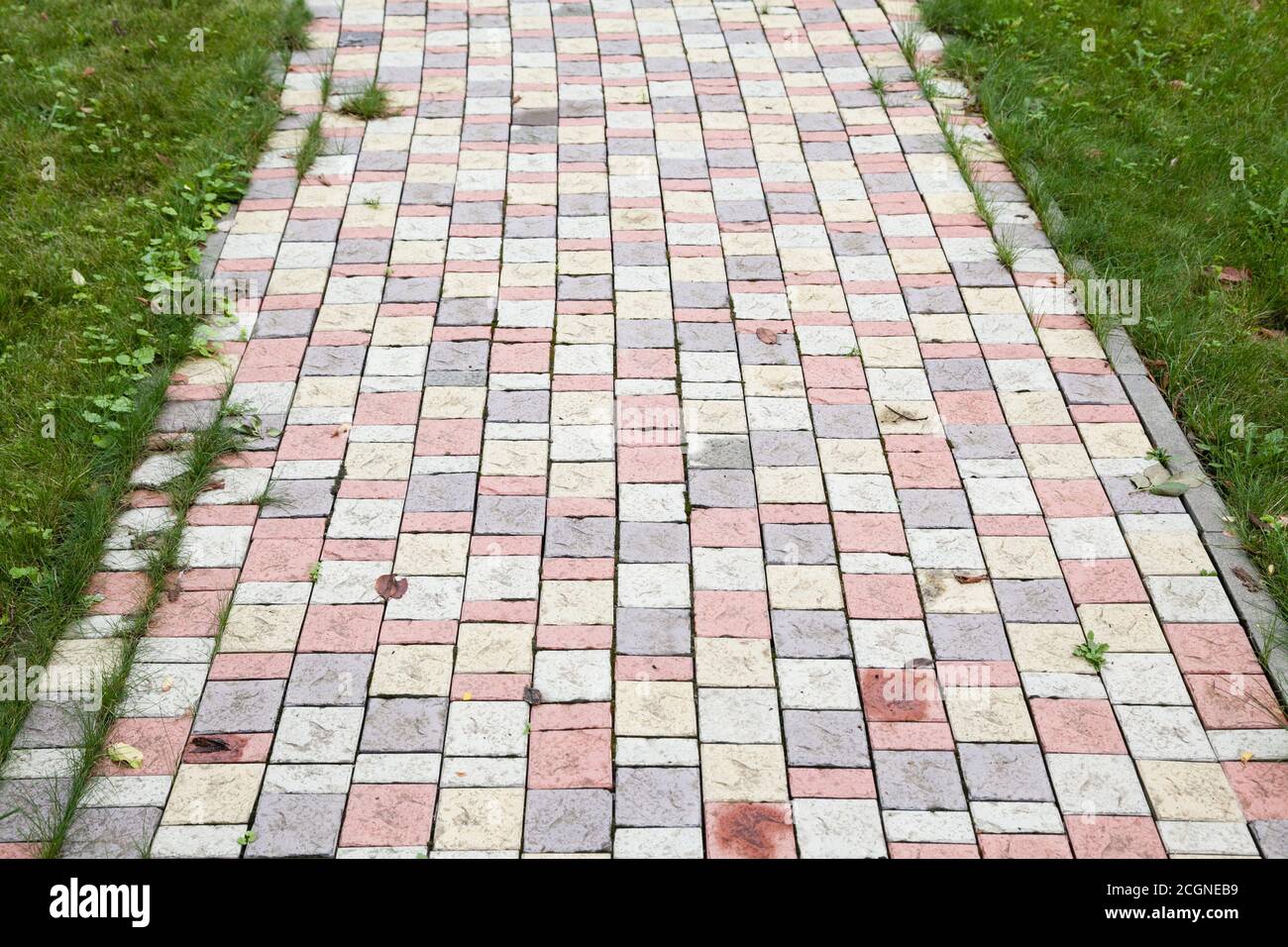 Closeup of walking lane from colored tile Stock Photo - Alamy