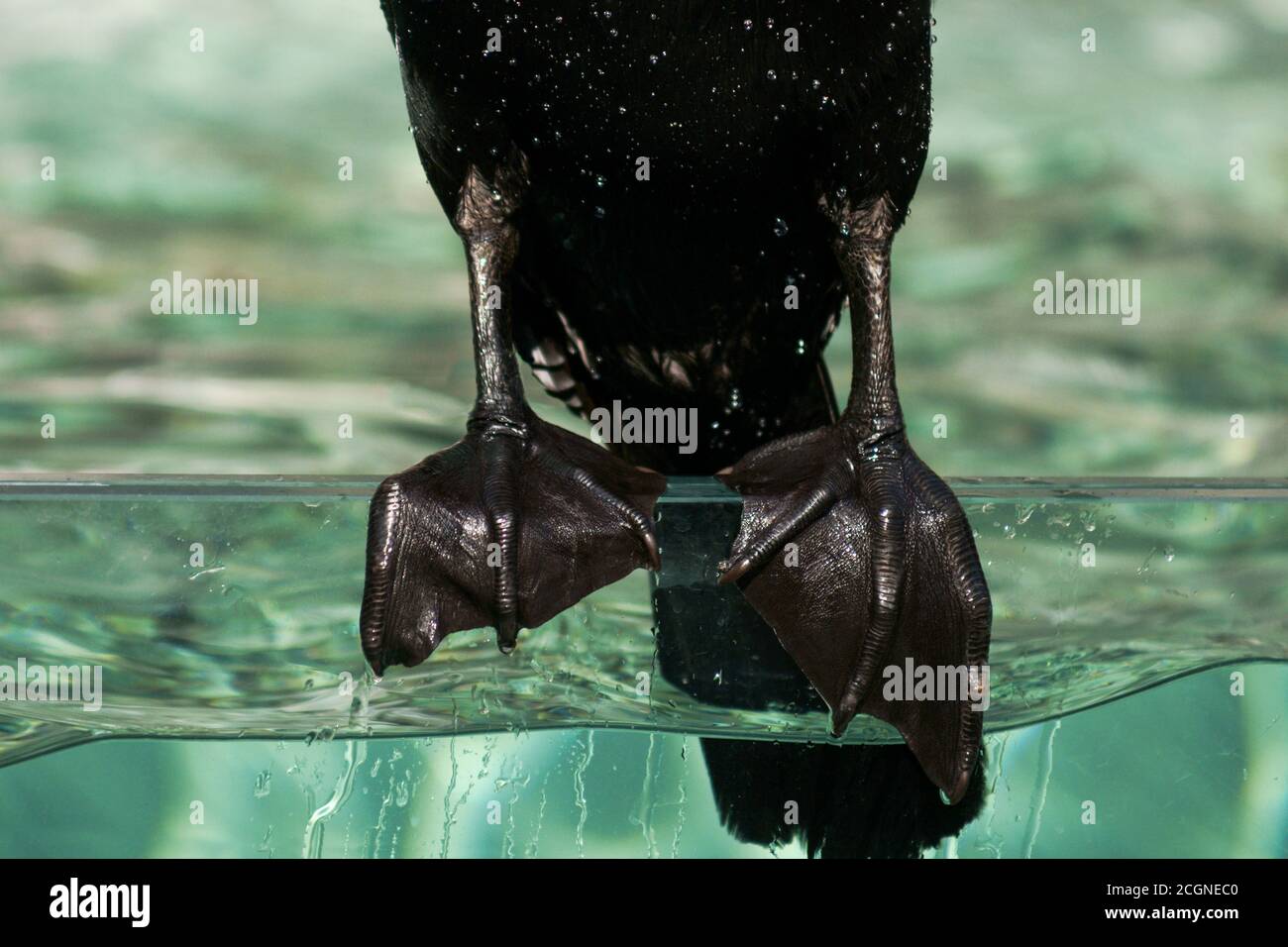 Photographs suitable for calendars hi-res stock photography and images ...