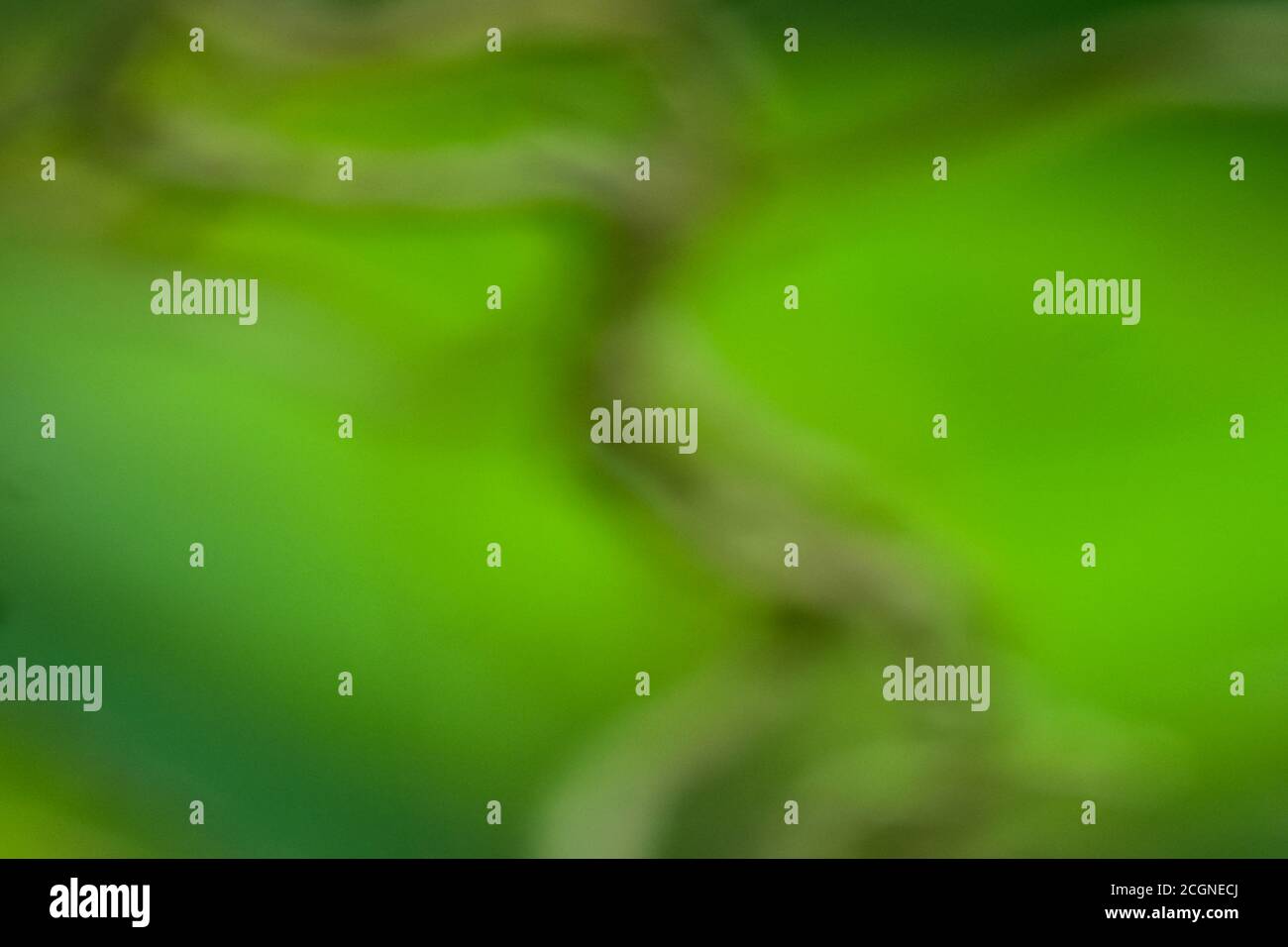 Bokeh green nature, Subtle background in abstract style for graphic ...