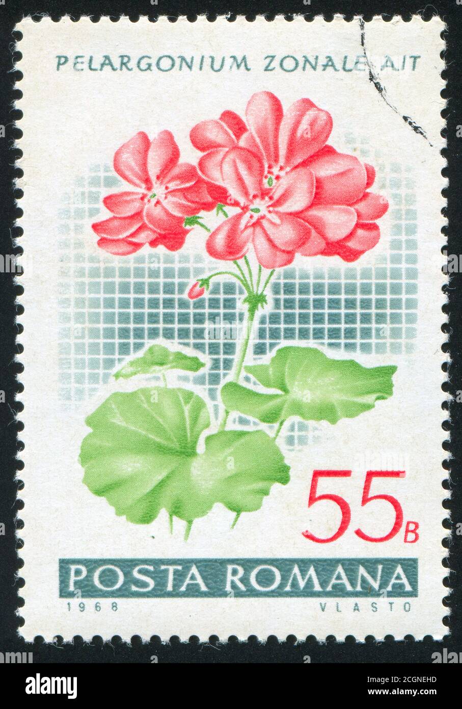 ROMANIA - CIRCA 1968: stamp printed by Romania, show Geranium, circa ...
