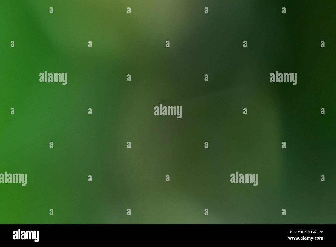 Bokeh green nature, Subtle background in abstract style for graphic ...