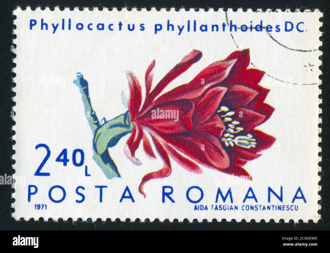ROMANIA - CIRCA 1971: stamp printed by Romania, show flower, Leaf ...