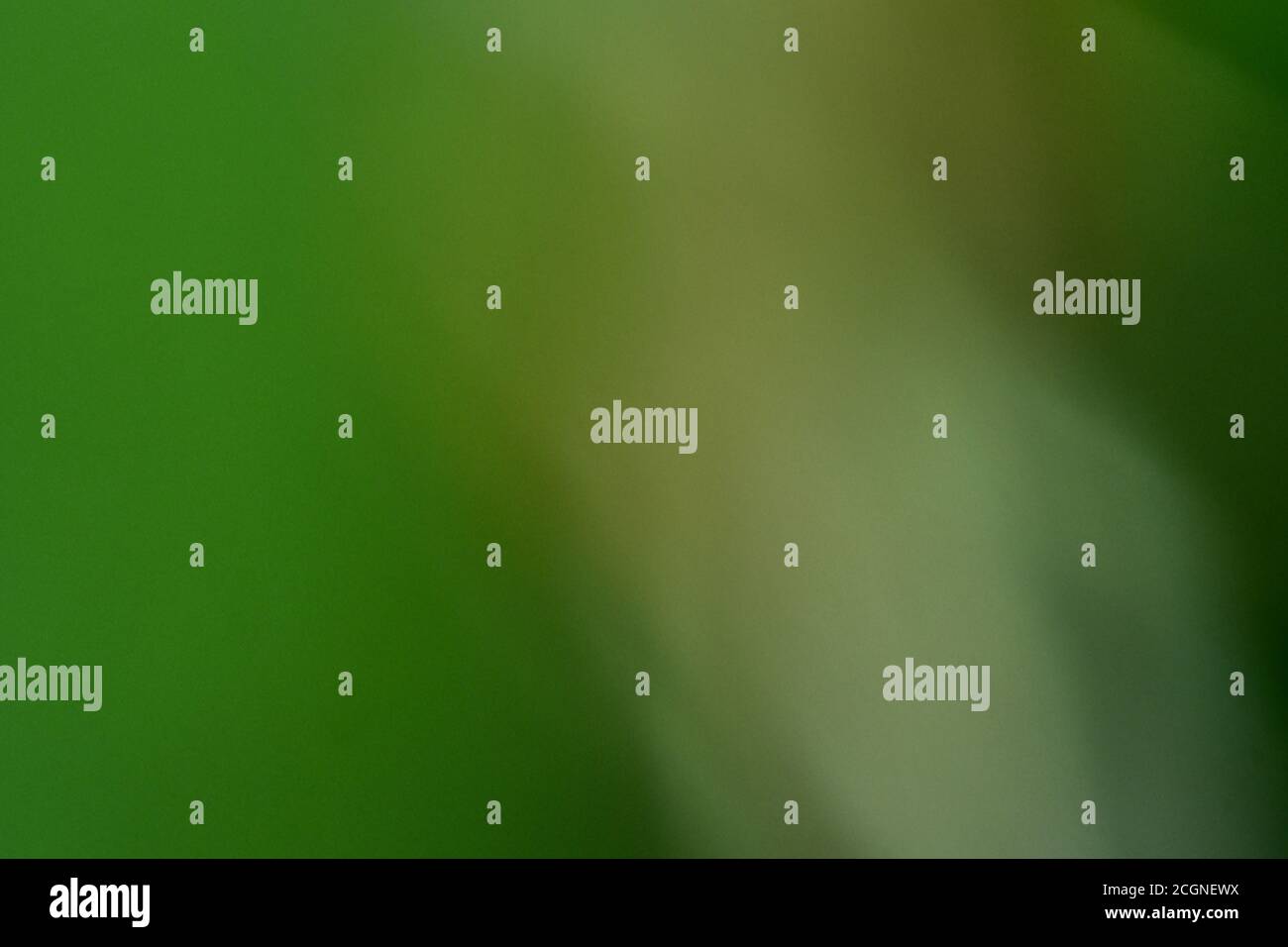 Bokeh green nature, Subtle background in abstract style for graphic ...