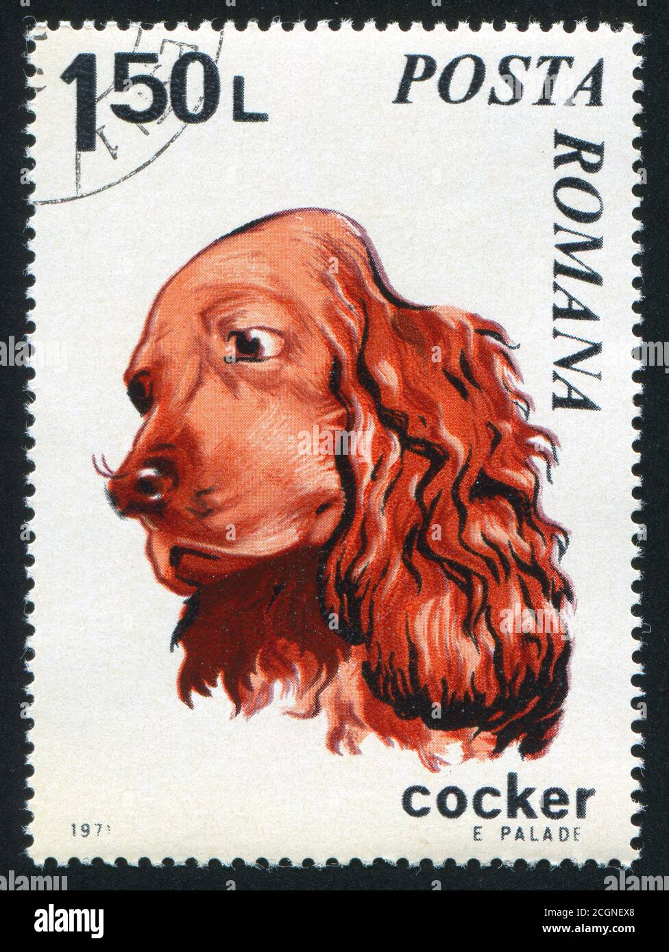 ROMANIA - CIRCA 1971: stamp printed by Romania, show Cocker spaniel ...