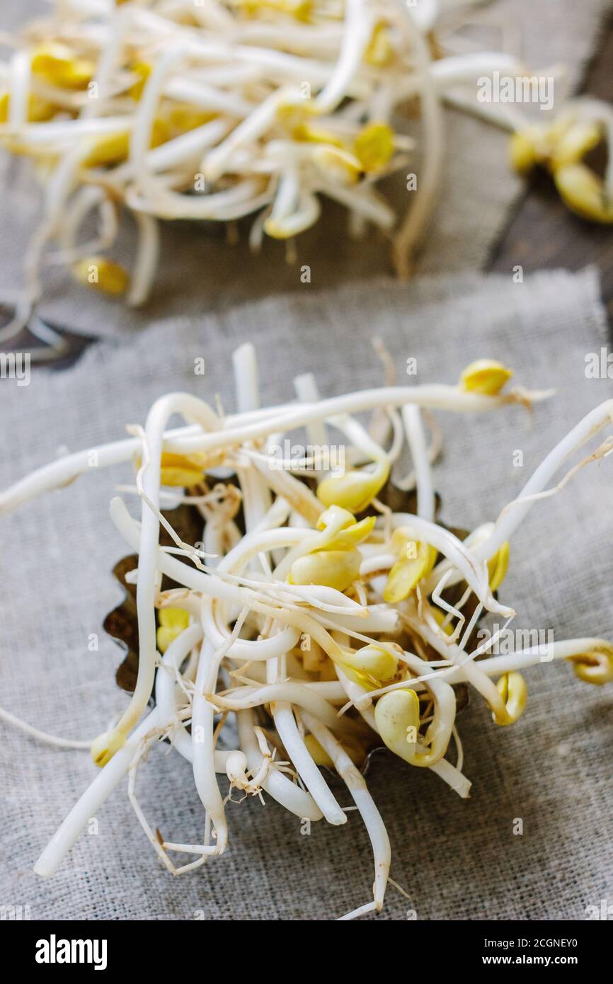 Yellow soybean sprouts hi-res stock photography and images - Alamy