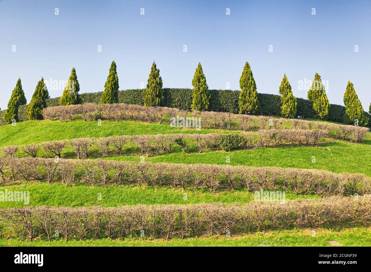 Sunlit city lawn hi-res stock photography and images - Alamy