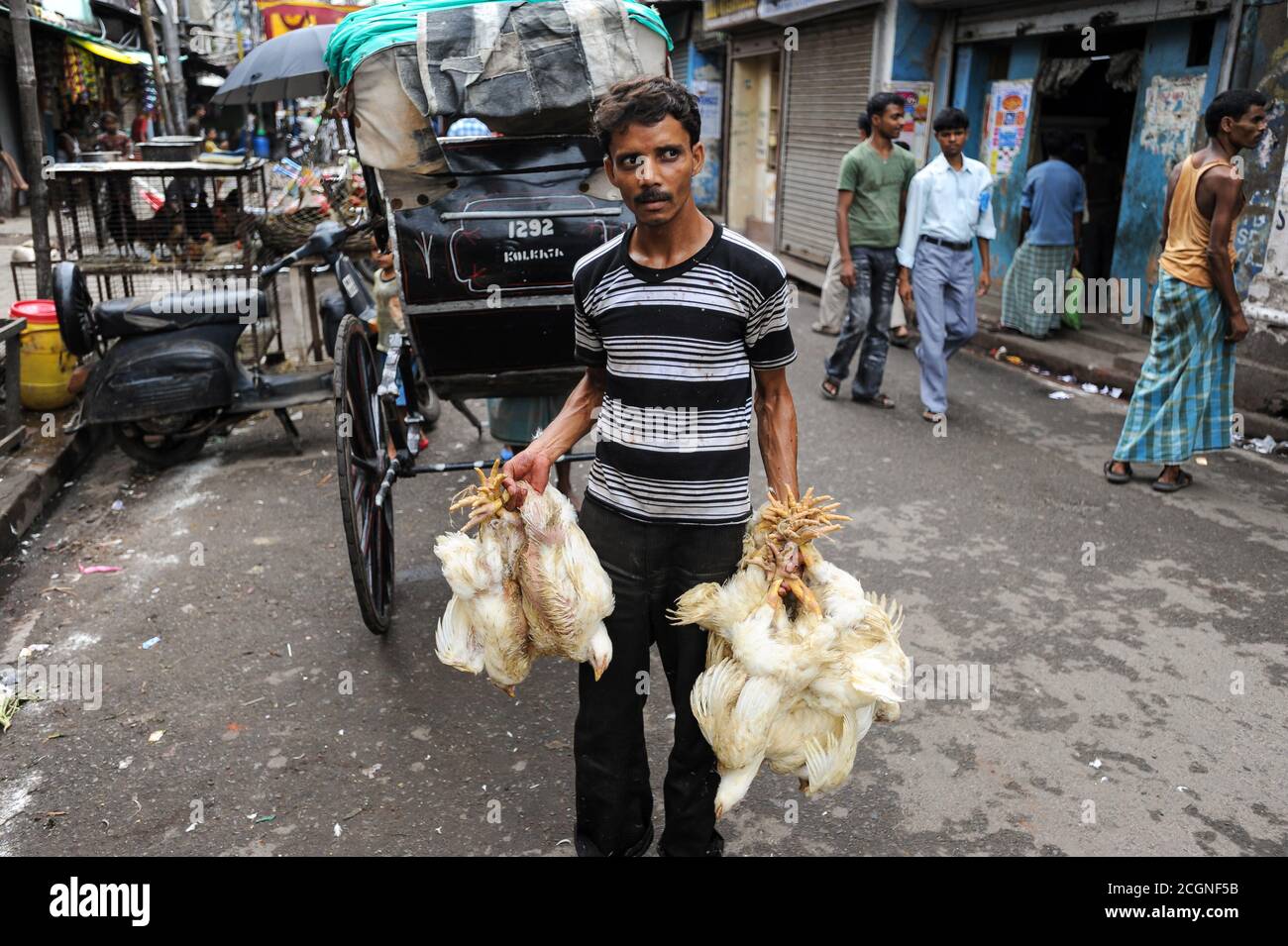Human hens hi-res stock photography and images - Alamy