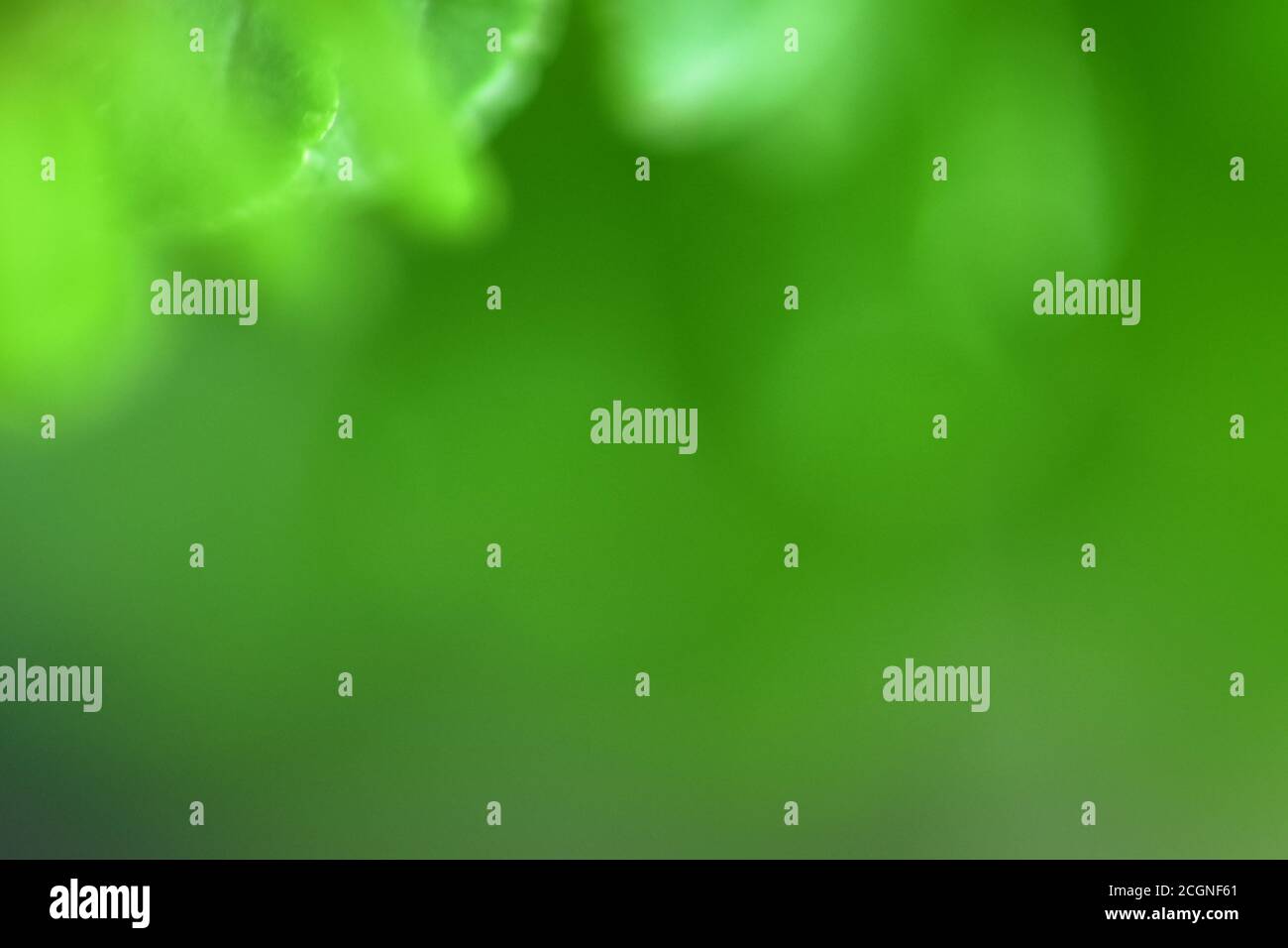 Bokeh green nature, Subtle background in abstract style for graphic ...