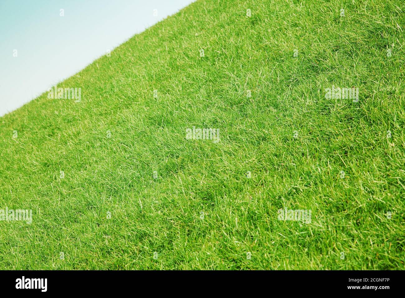 Inclined slope with green grass and blue sky Stock Photo - Alamy