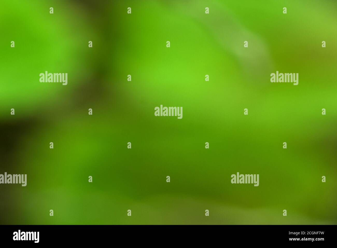 Bokeh green nature, Subtle background in abstract style for graphic ...
