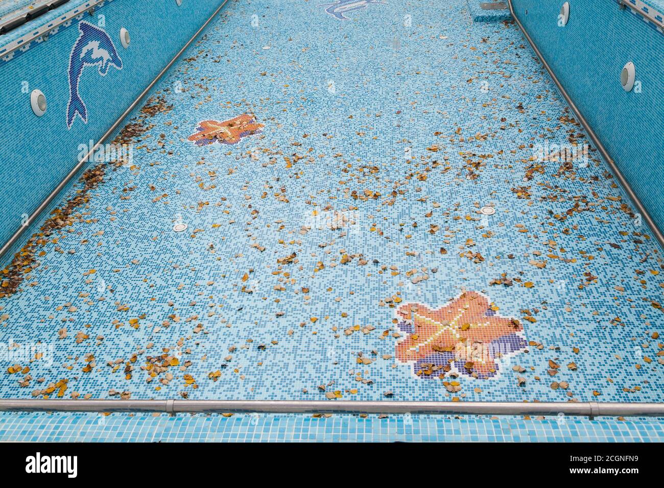Empty swimming pool debris hi-res stock photography and images - Alamy