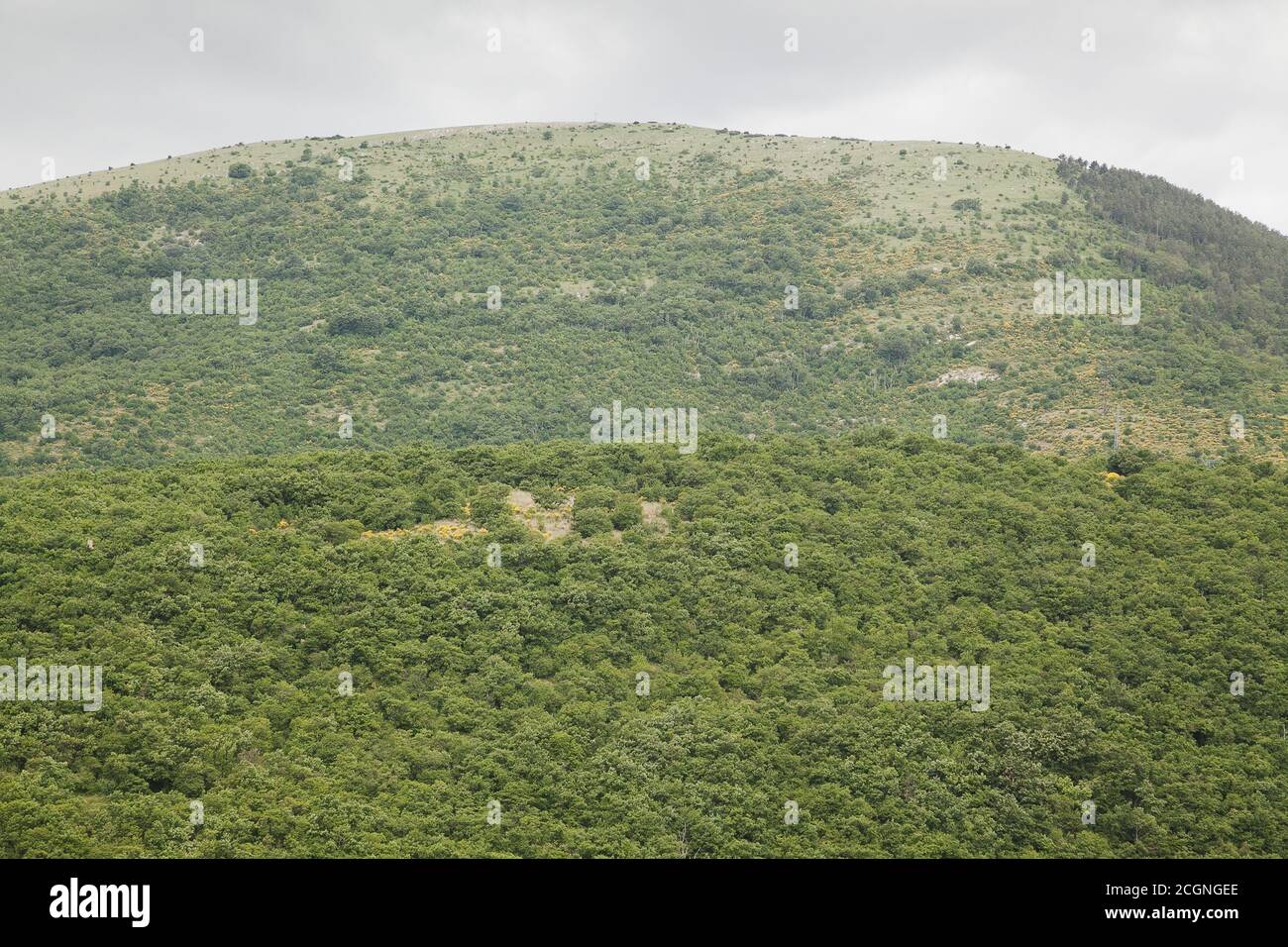 Big hill covered with trees and stormy sky Stock Photo - Alamy