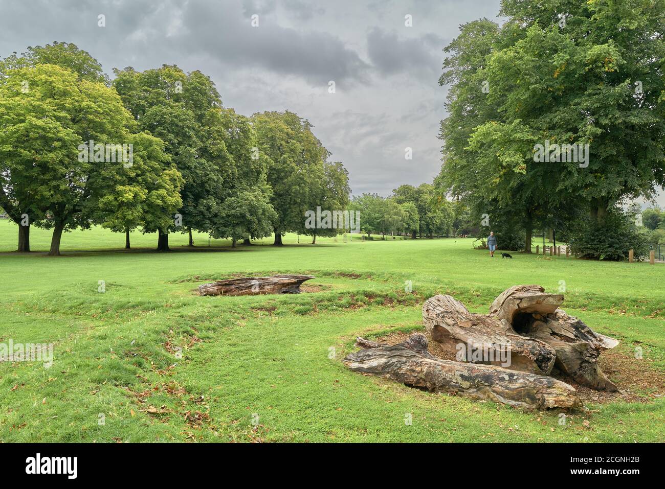 Northampton Trees High Resolution Stock Photography and Images - Alamy