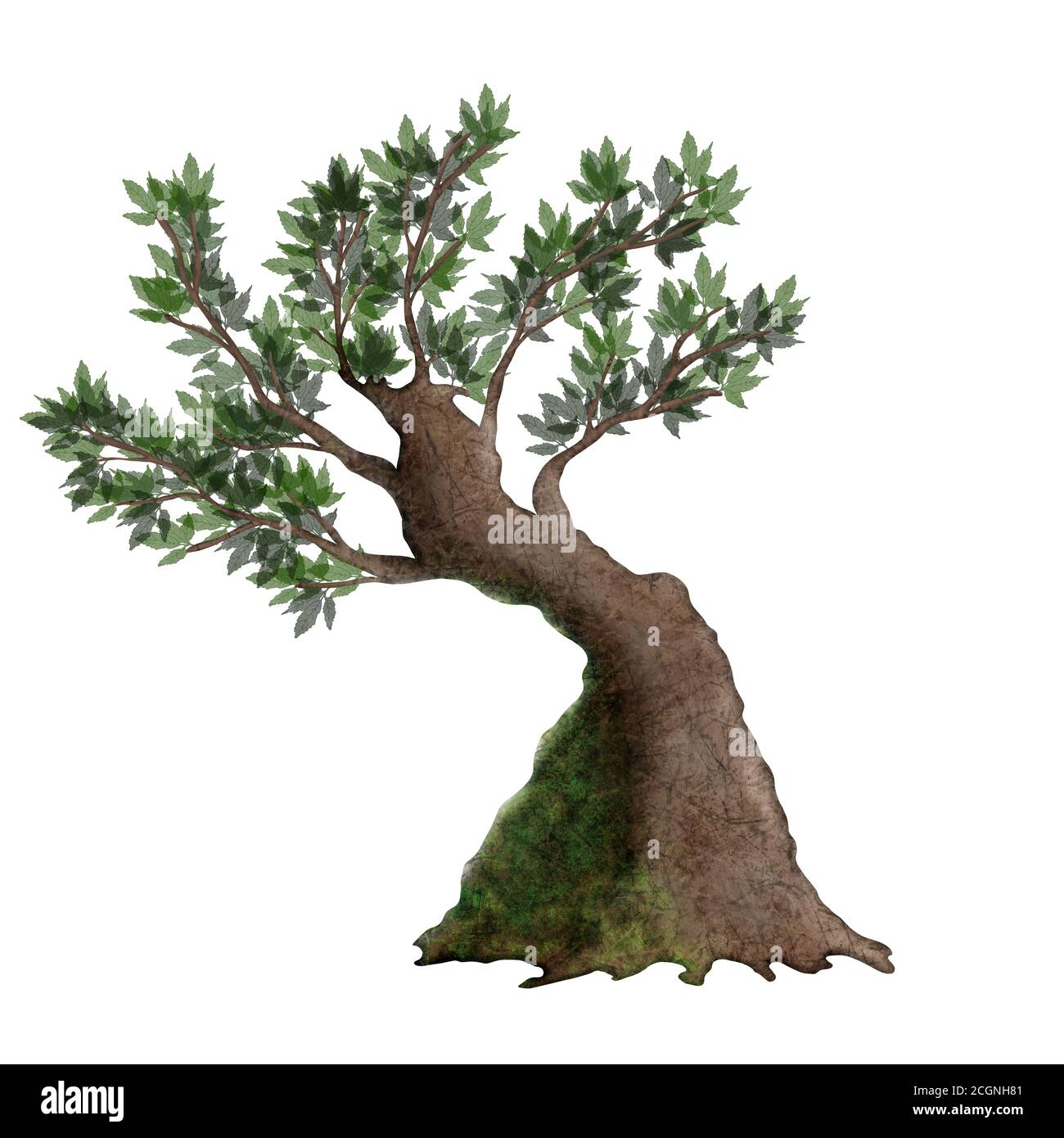 Stylized tree with green foliage. Illustration on a white background ...