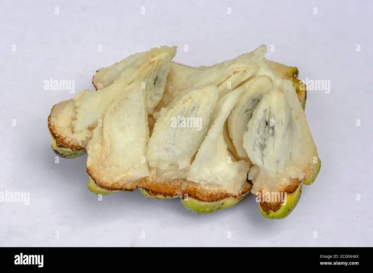 Squamosa sugar apple sweetsop squamosa hi-res stock photography and ...
