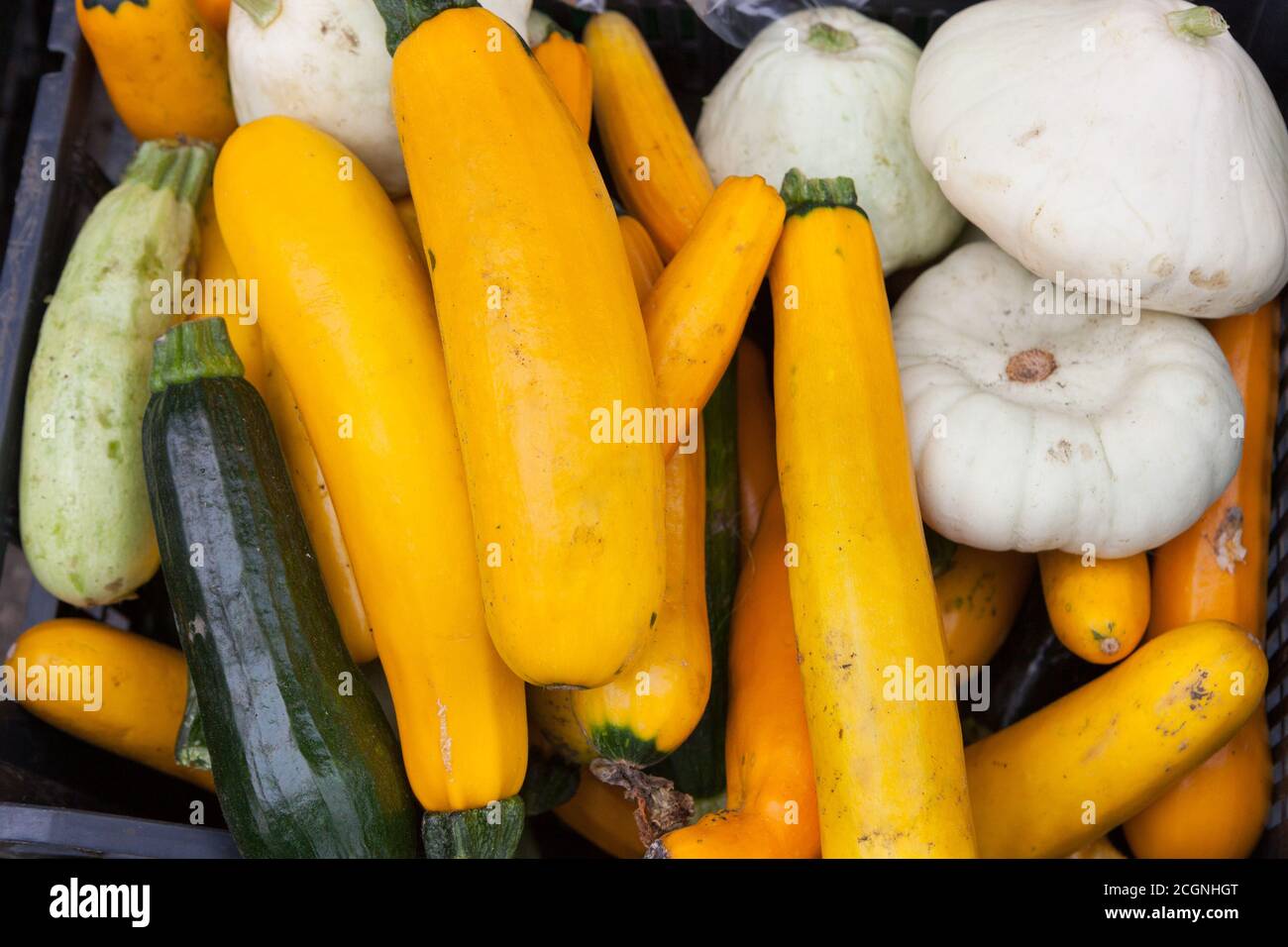 Types of squash hi-res stock photography and images - Alamy