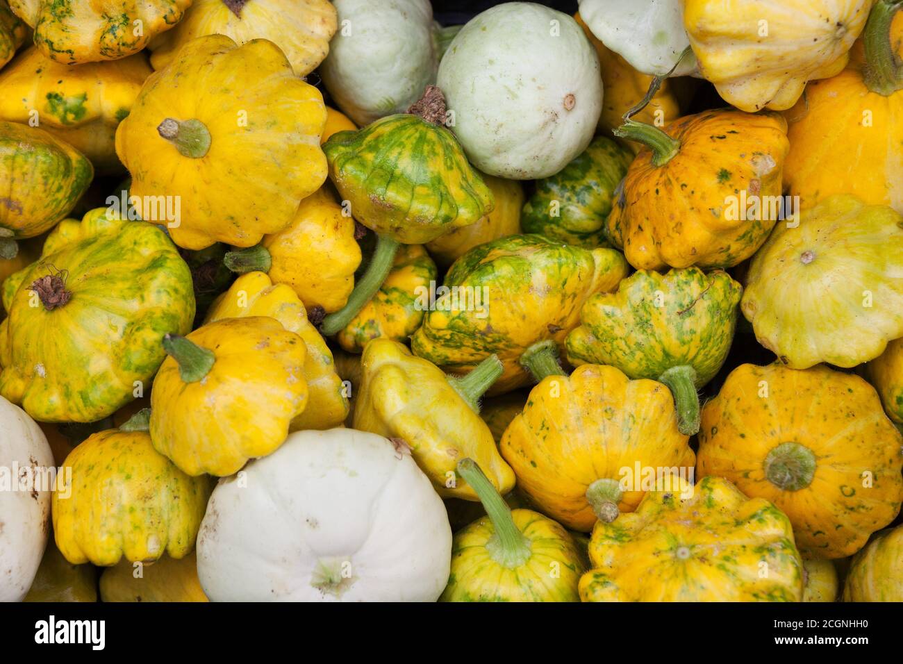 Types of squash hi-res stock photography and images - Alamy