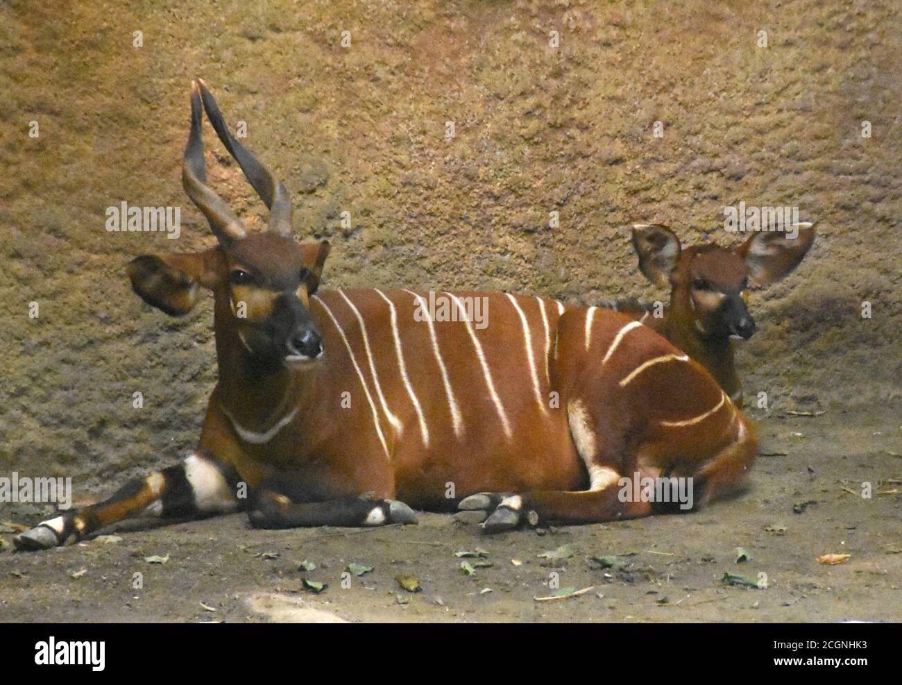 Los Angeles, California, USA 10th September 2020 A general view of ...
