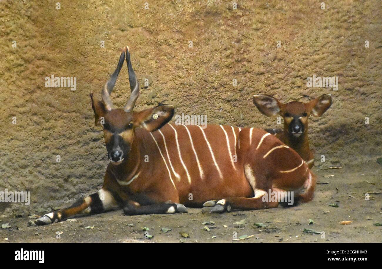 Los Angeles, California, USA 10th September 2020 A general view of ...