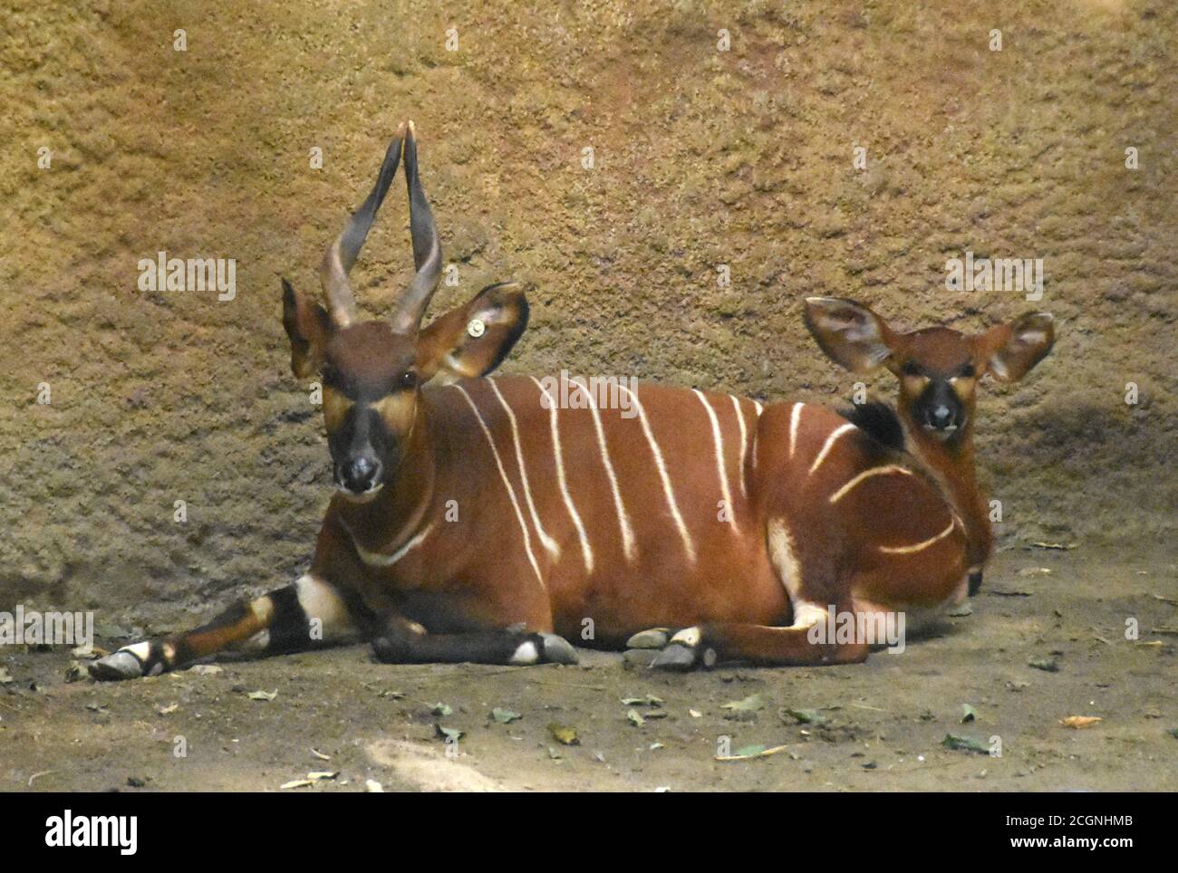 Los Angeles, California, USA 10th September 2020 A general view of ...