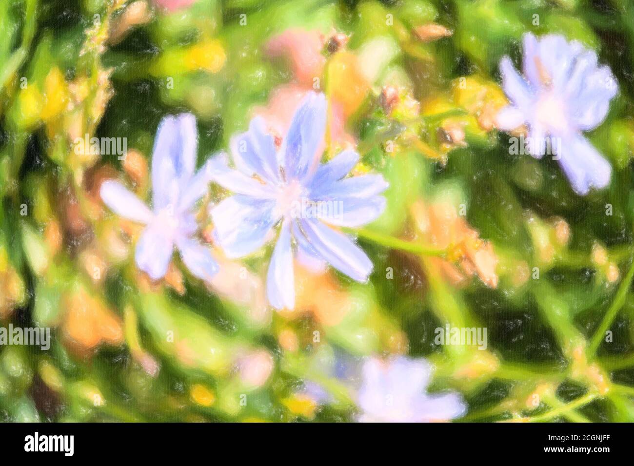 Illustration of chicory flowers on green background Stock Photo - Alamy