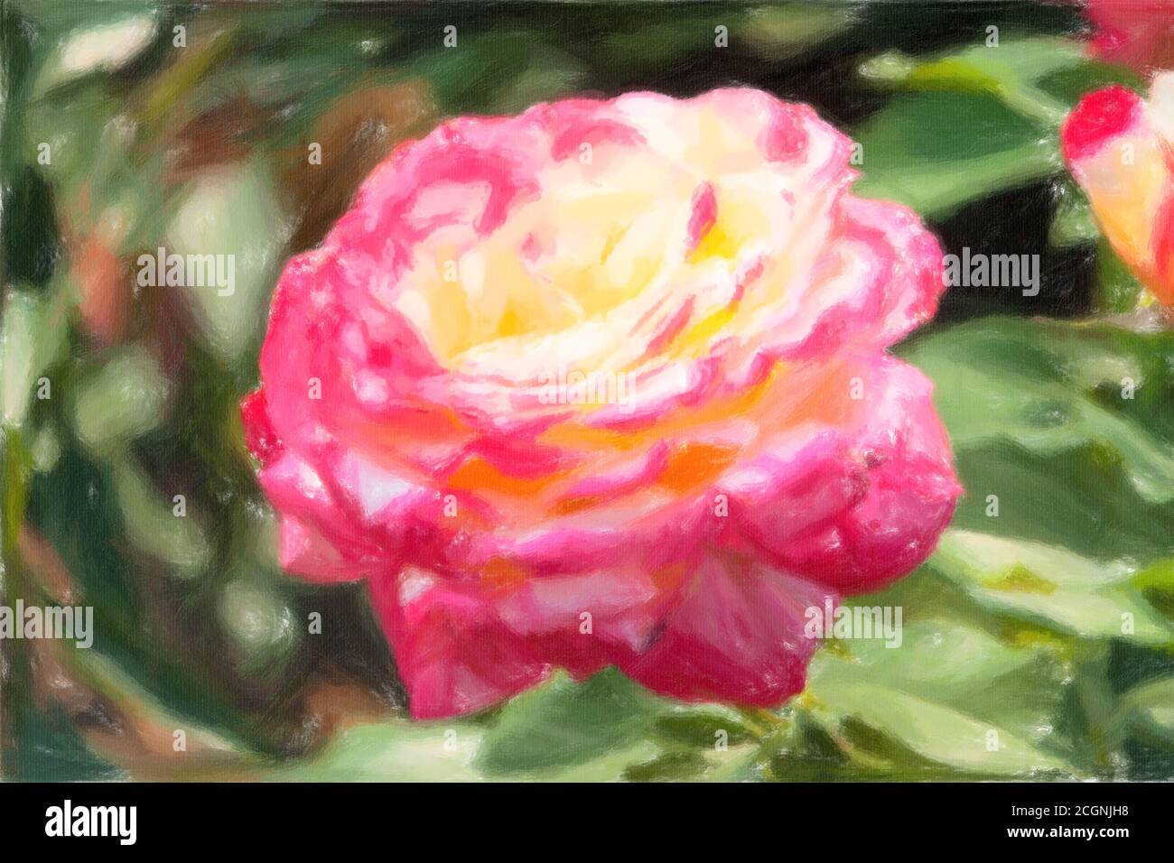 Illustration of flowering red roses plant at spring garden Stock Photo ...