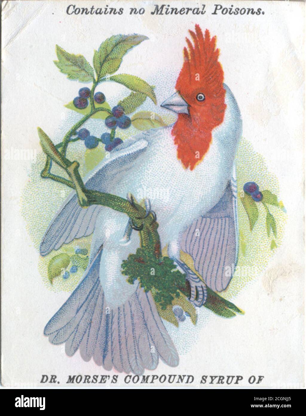 Compound Syrup High Resolution Stock Photography and Images - Alamy