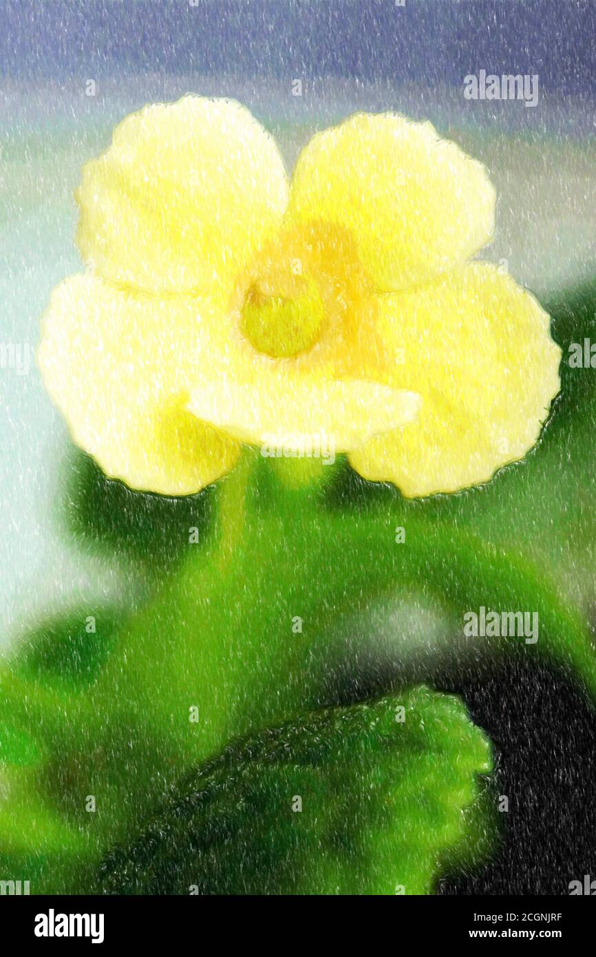 Illustration of close up of yellow episcia home plant Stock Photo - Alamy