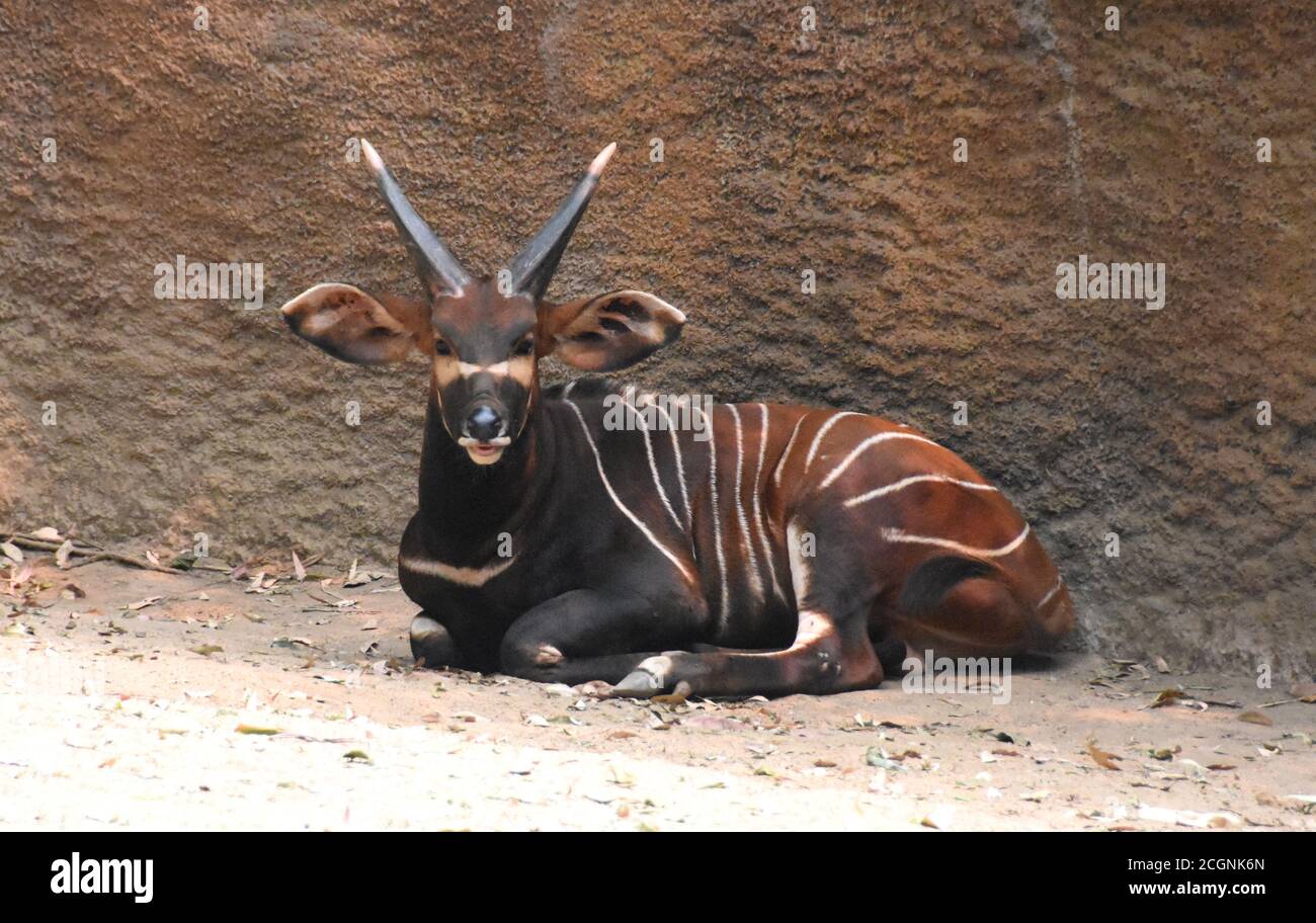 Los Angeles, California, USA 10th September 2020 A general view of ...