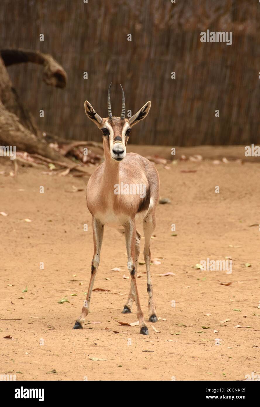 Los Angeles, California, USA 10th September 2020 A general view of ...