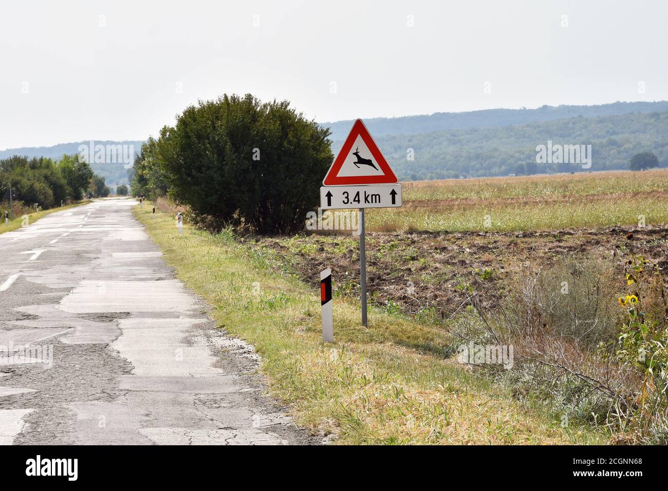 Road sign that warns drivers of wild animals on the road Stock Photo ...