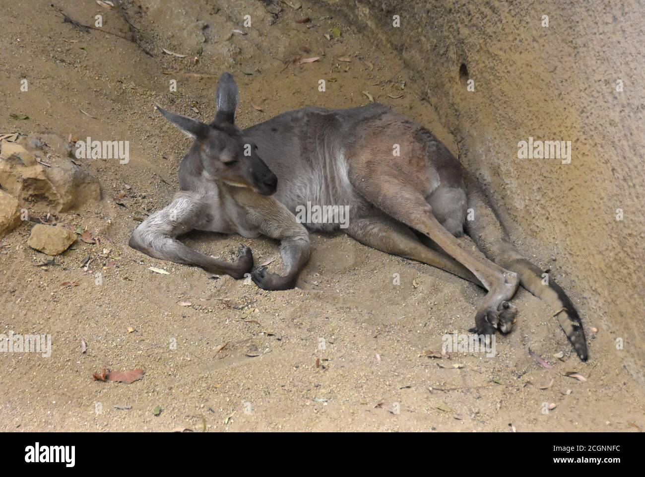 Los Angeles, California, USA 10th September 2020 A general view of ...