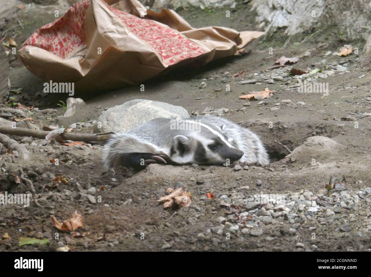 Los Angeles, California, USA 10th September 2020 A general view of ...