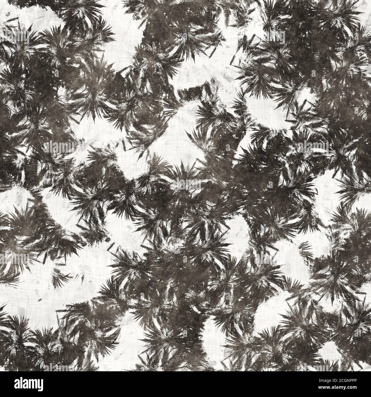 Neutral tropical palm tree leaves seamless pattern Stock Photo - Alamy