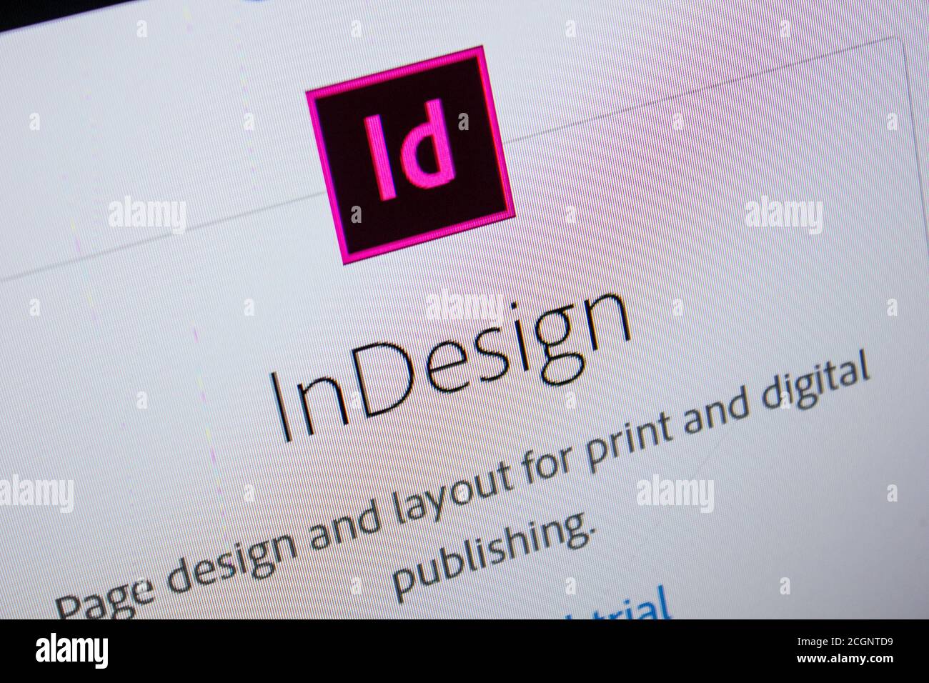 Adobe Indesign Logo Vector