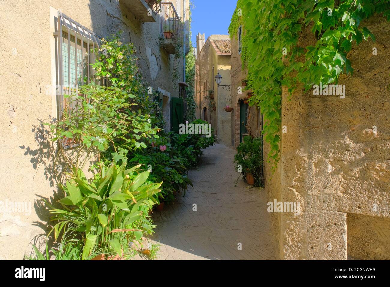 historic center of the medieval town of capalbio in the tuscan maremma ...